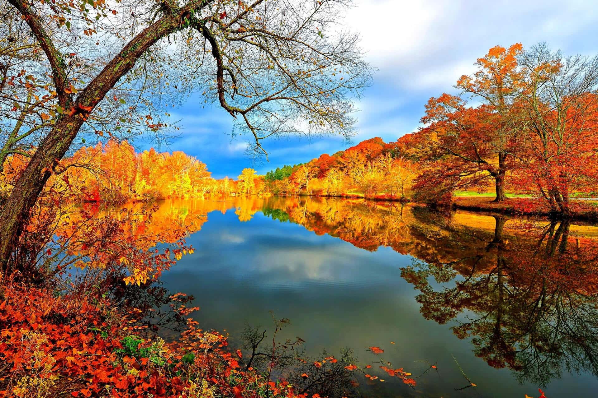 ورود به سامانه یکپارچه PMLM