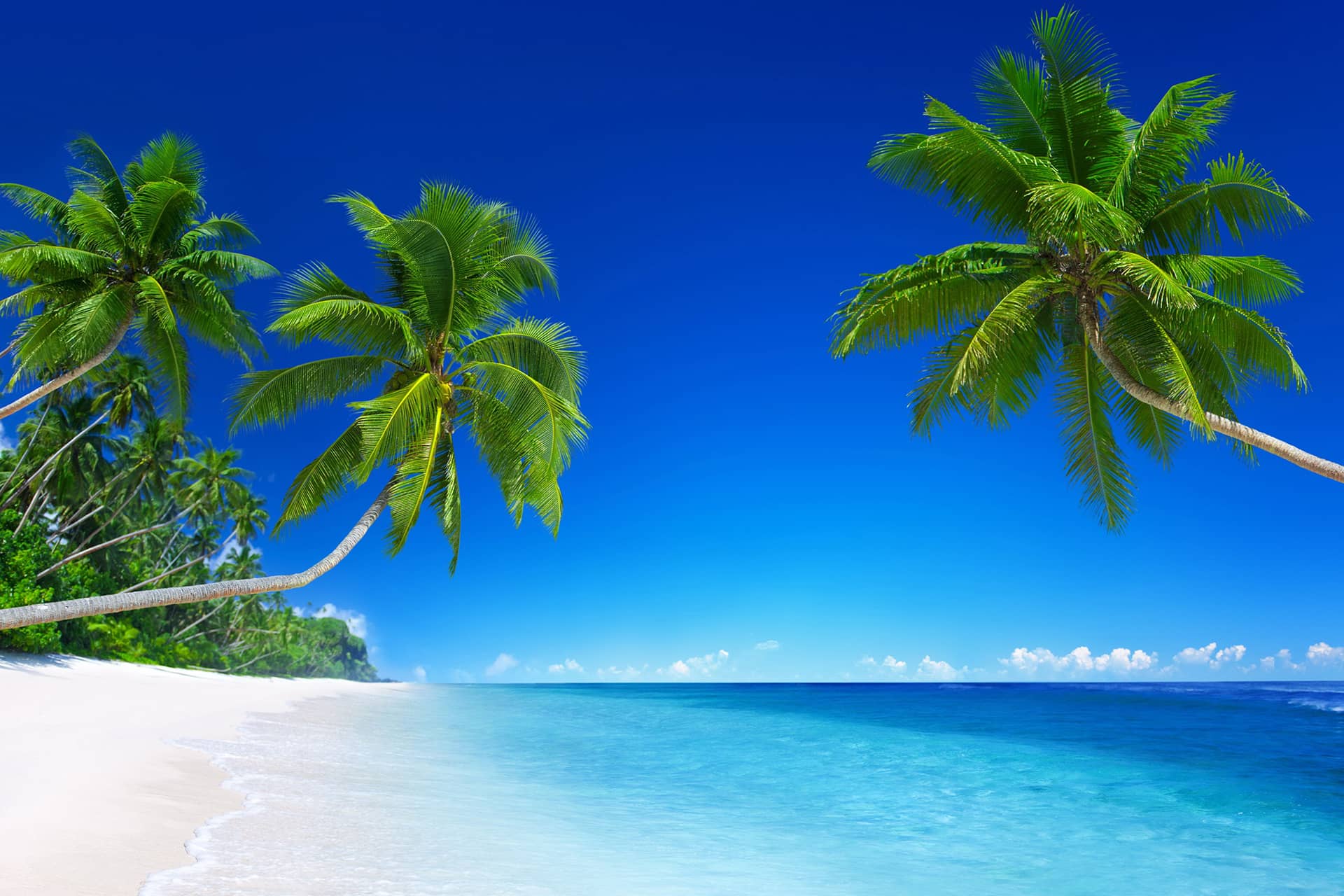 ورود به سامانه یکپارچه PMLM