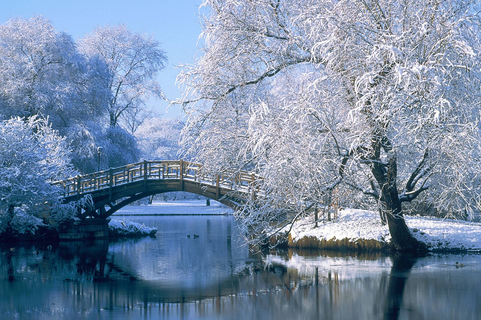 ورود به سامانه یکپارچه PMLM