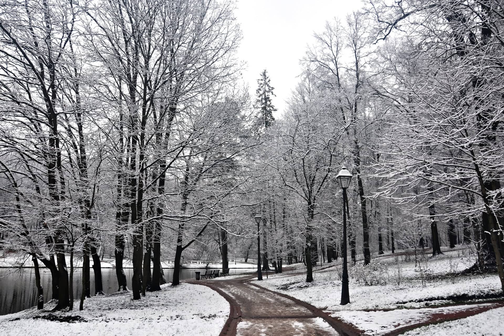 ورود به سامانه یکپارچه PMLM